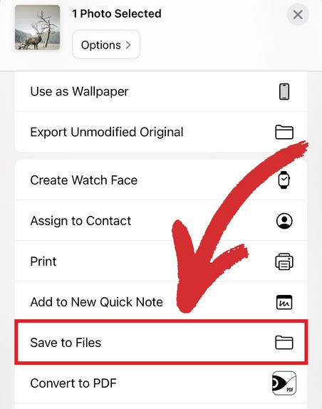Como converter uma imagem em PDF em um iPhone